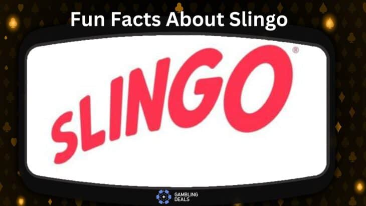 6 interesting facts every casino goer must know about Slingo